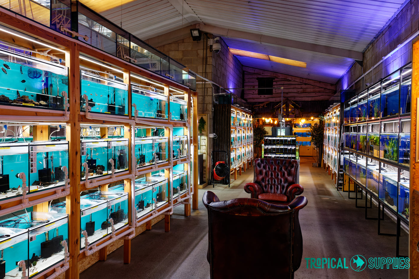 Welcome to Tropical Supplies